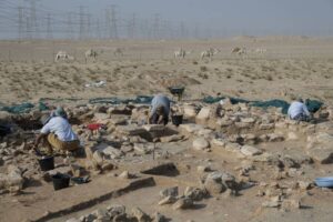 7,000-Year-Old Figurine With Alien Features Discovered In Kuwait