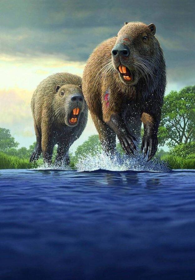 Rodents Of Unusual Size: Do ROUS Really Exist?