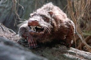 Rodents Of Unusual Size: Do ROUS Really Exist?