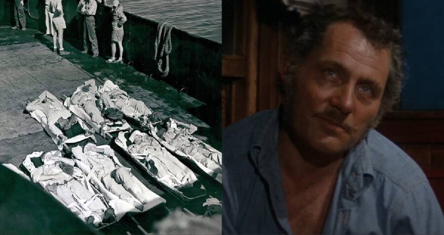 USS Indianapolis Shark Attack: The Bloody True Story
