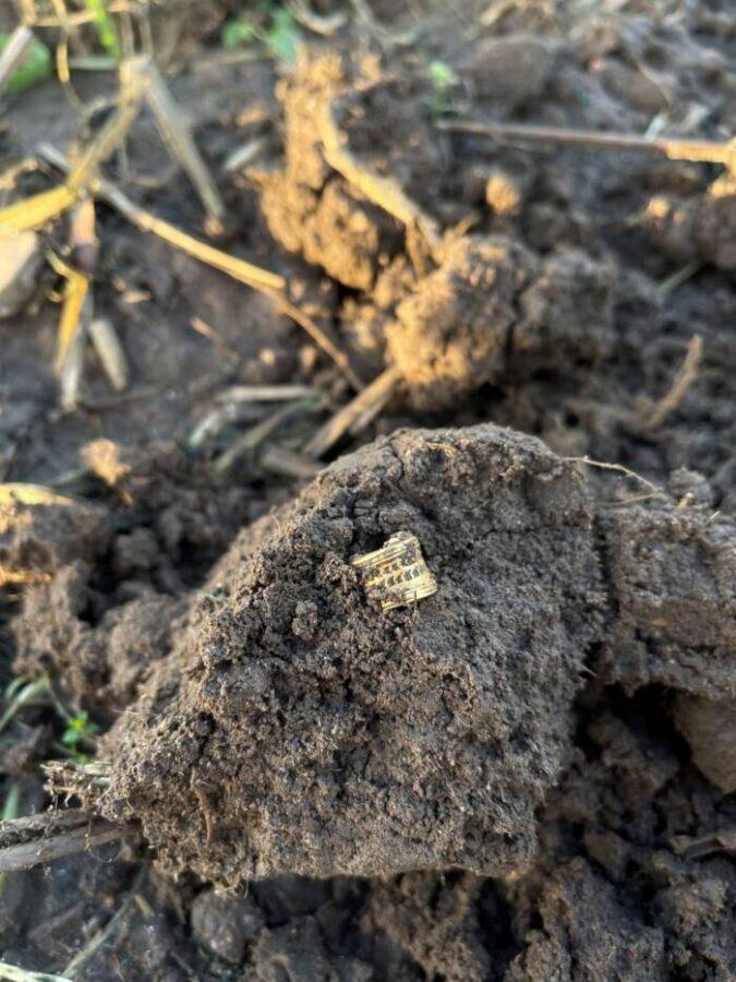 Ancient Roman Lock Made Of Gold Unearthed In Germany