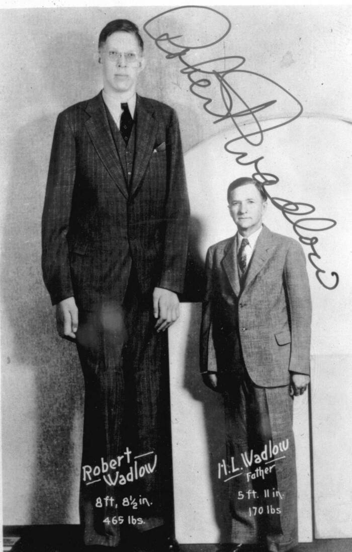 Robert Wadlow, The Tallest Human To Ever Live