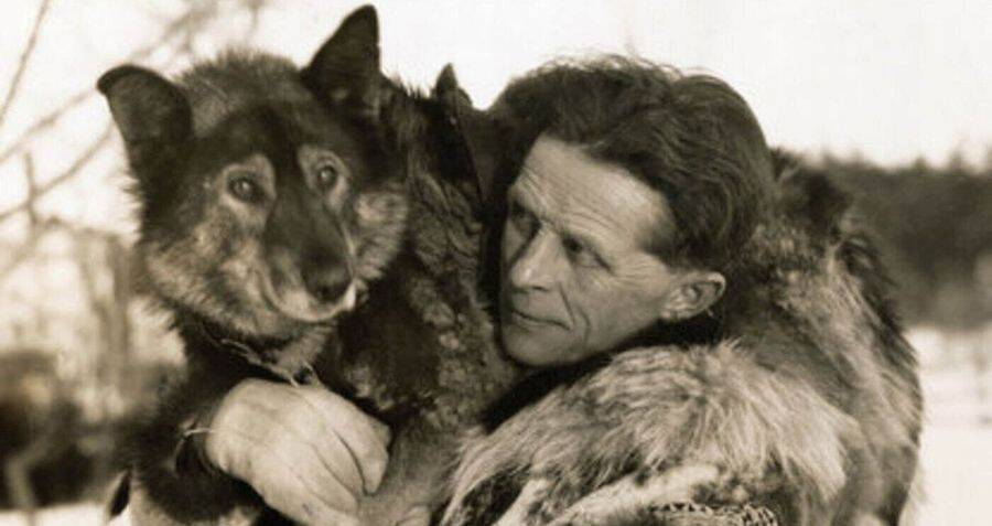 Togo The Dog, The Real Hero Of The 1925 Nome Serum Run