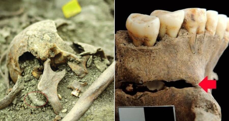 Decapitated Remains Of A Medieval 'Vampire' Unearthed In Croatia