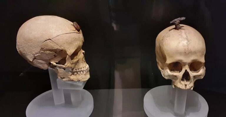 Severed Heads Found In Spain Belonged To Iron Age Enemies