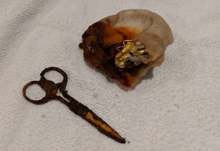 How Jack Stuef Found Forrest Fenn's Treasure