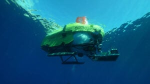 'Ocean Census' Project Discovers 866 New Marine Species