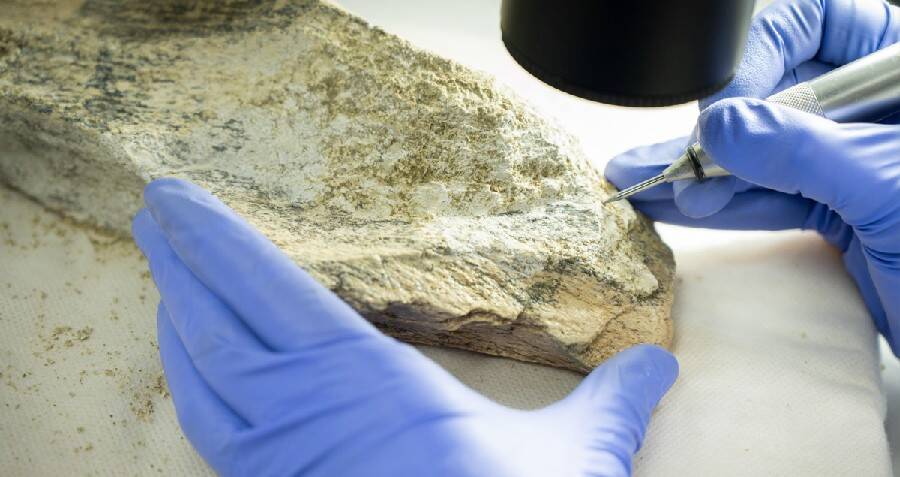 Archaeologists Discover 1.5-Million-Year-Old Bone Tools In Africa