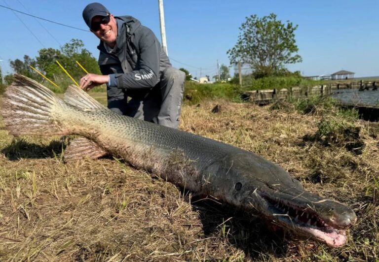 Anglers Catch A 153-Pound Alligator Gar With An Ultra-Light Line