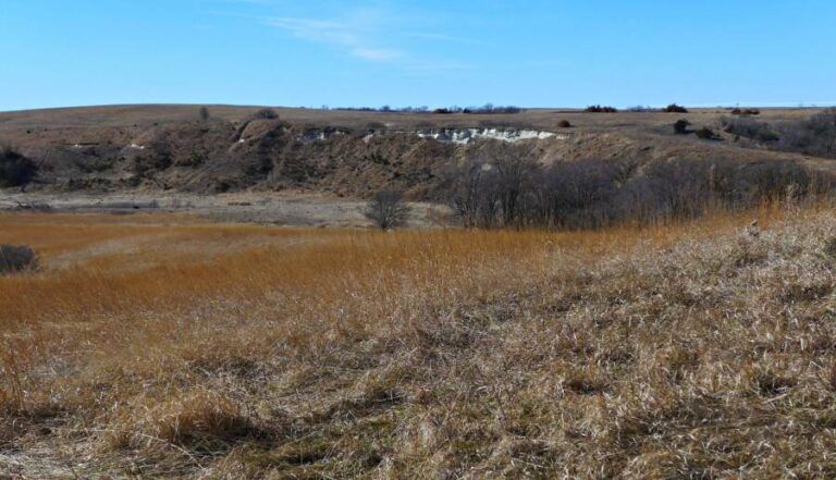 Scientists Study Prehistoric Rhino Herd Found In Nebraska