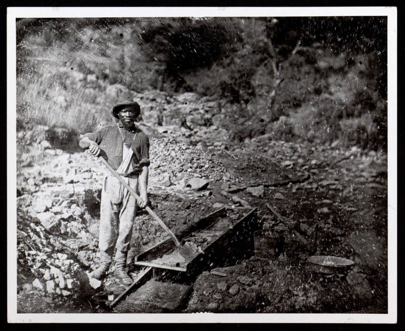 How The California Gold Rush Transformed San Francisco
