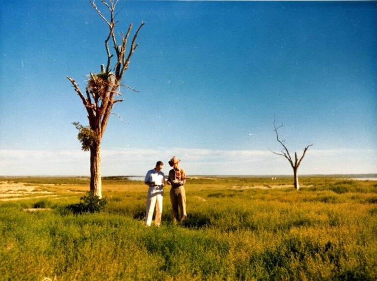 44 Colorized Photos That Show The Destruction Of The Dust Bowl