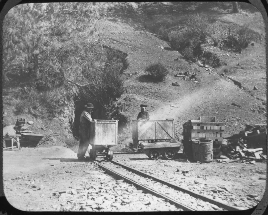 How The California Gold Rush Transformed San Francisco