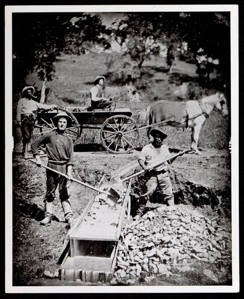 How The California Gold Rush Transformed San Francisco