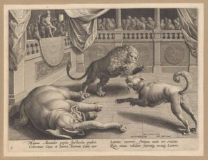 Bones Found In England Prove Roman Gladiators Fought Animals