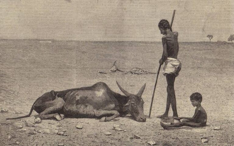 Inside The Horrific Madras Famine Of 1876–1878