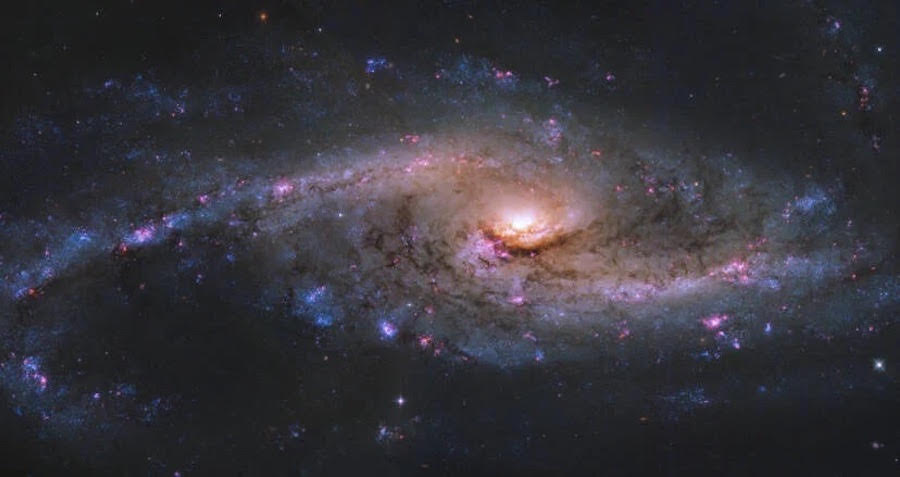 Interesting Science Articles And Breaking News From All That's Interesting