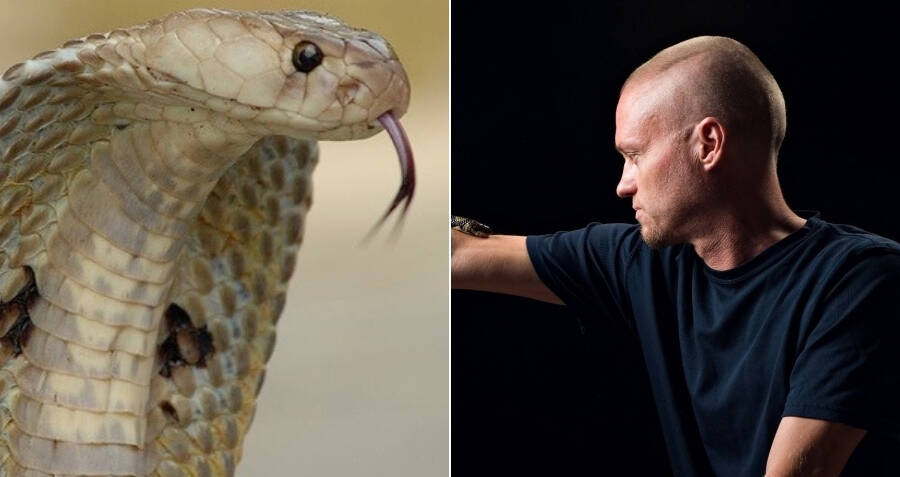 Tim Friede, The Man Trying To Create A Universal Antivenom