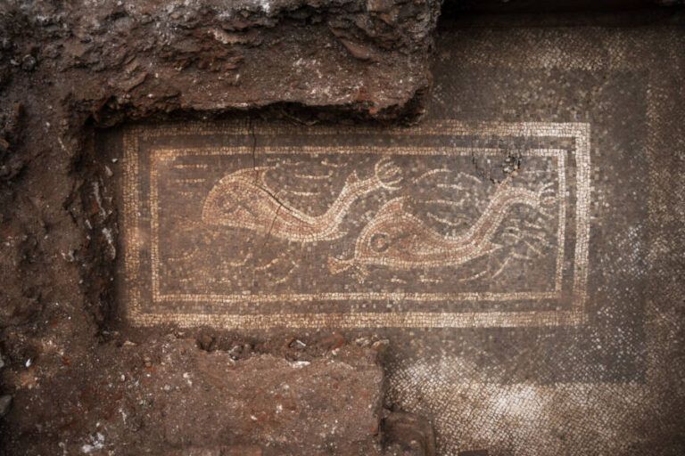 Stunning Roman Dolphin Mosaic Unearthed In Upper Austria