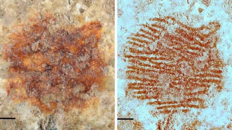 History's Oldest Fingerprint Found On A Rock In Spain