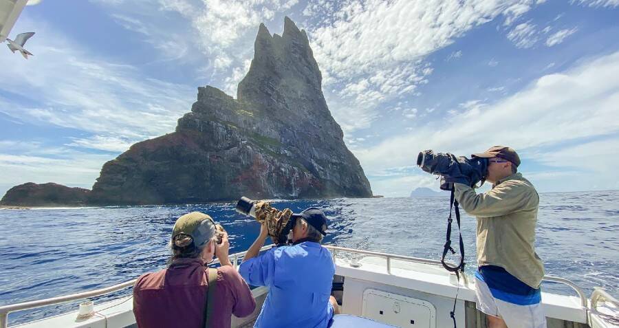 Interesting Curiosities From All That Is Interesting