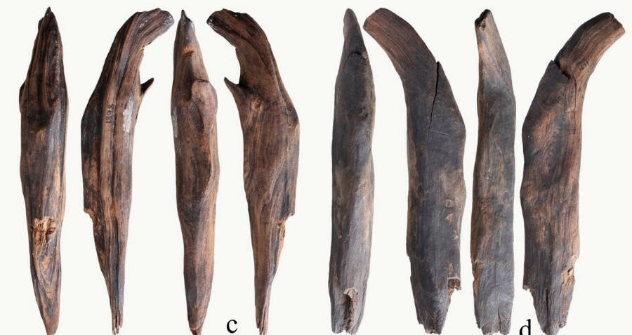 Archaeologists In China Find 300,000-Year-Old Wooden Tools