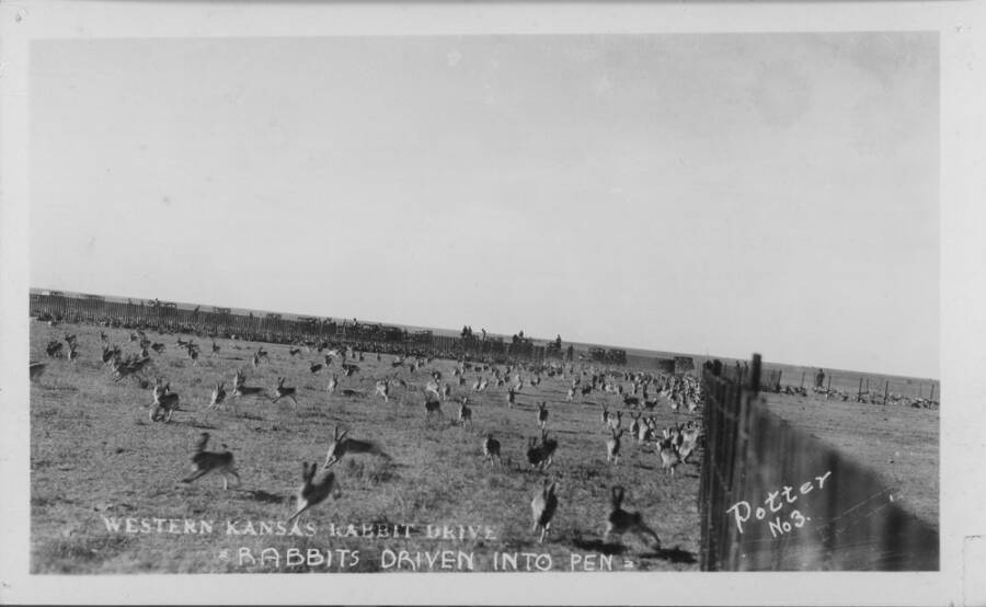 27 Tragic Photos That Capture The Kansas Dust Bowl