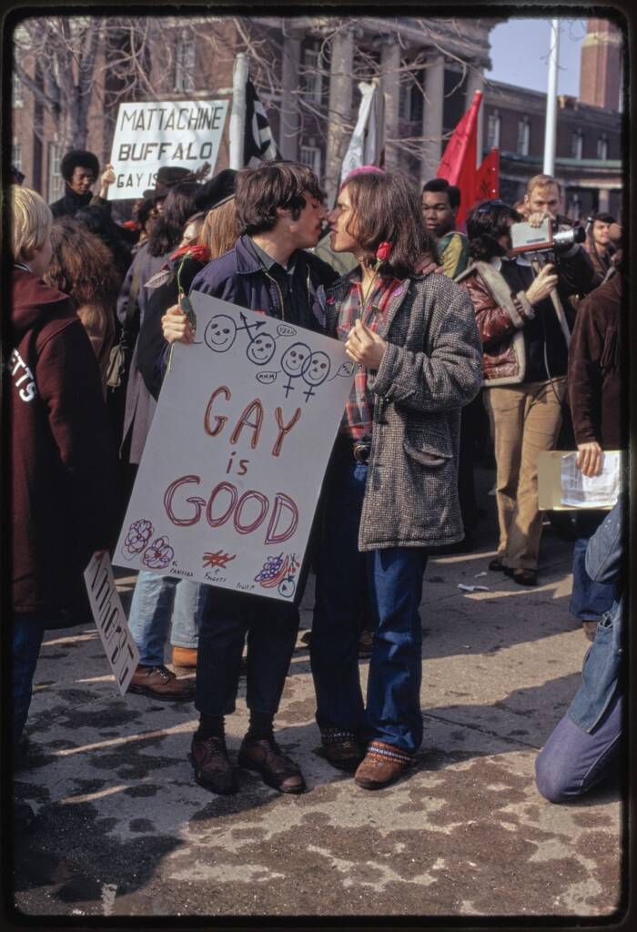 Diana Davies Photographs Of The Early Gay Rights Movement