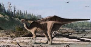 New Dinosaur Species With Unique Sail Identified In Britain