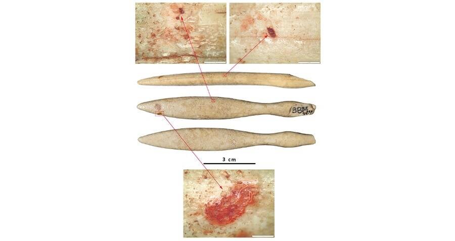 Interesting Science Articles And Breaking News From All That's Interesting