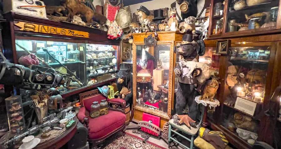 Inside Trundle Manor, Pennsylvania's Macabre Museum Of Oddities