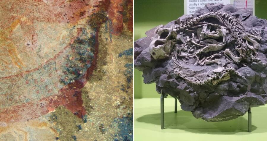 Rock Art Suggests Indigenous People Were First Paleontologists