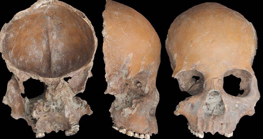 Interesting Science Articles And Breaking News From All That's Interesting