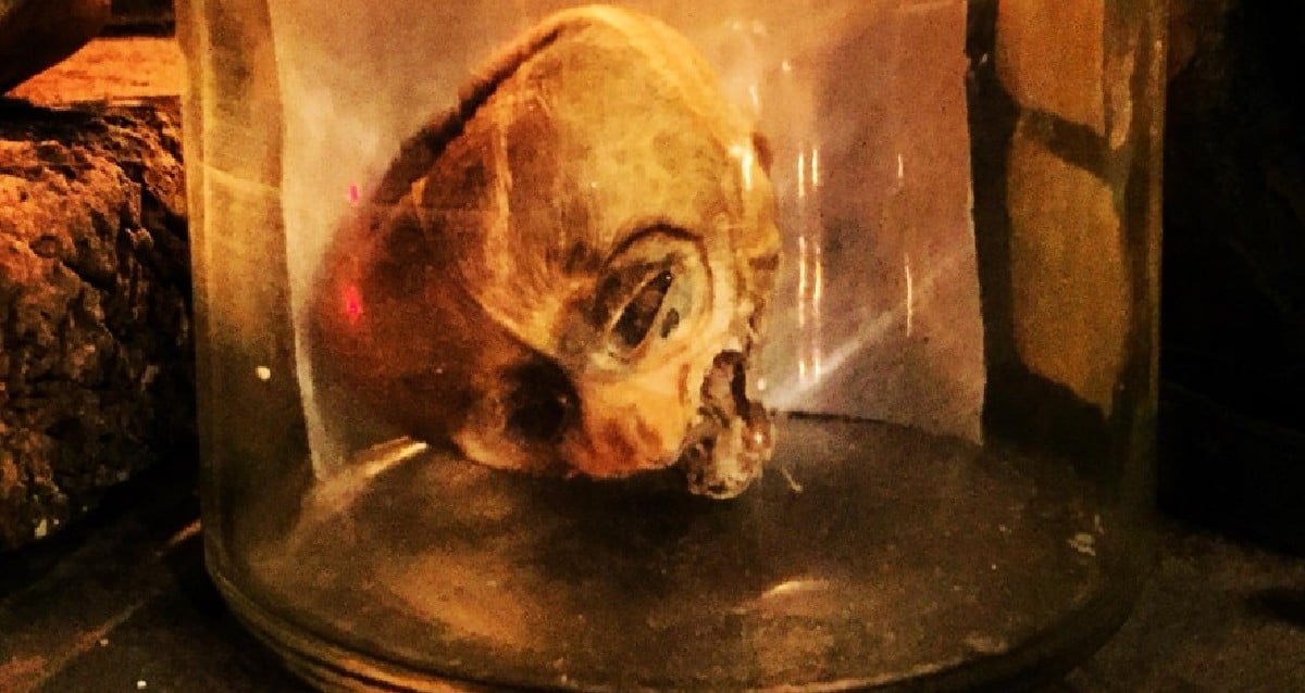 Inside Trundle Manor, Pennsylvania's Macabre Museum Of Oddities