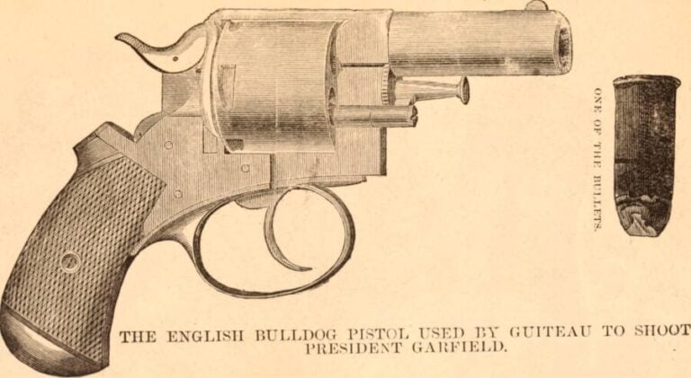 James Garfield's Assassination: The Death Of The 20th President