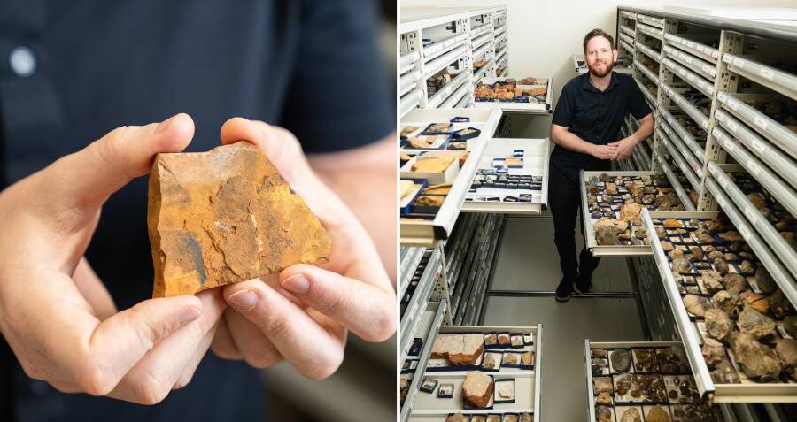 Amateur Fossil Hunter Discovers New Species Of Midge