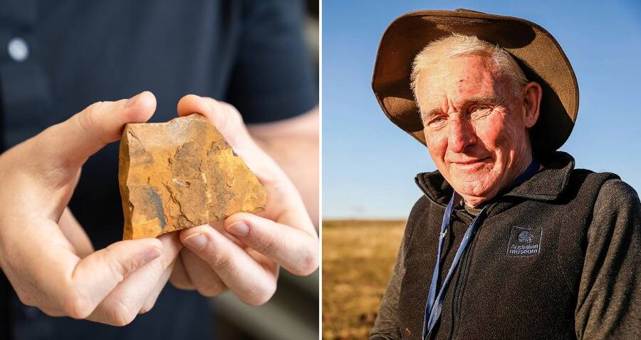 Amateur Fossil Hunter Discovers New Species Of Midge