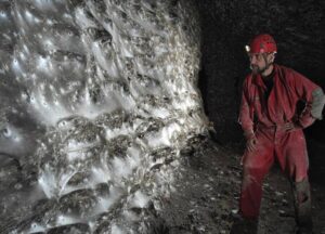 Scientists Have Found The World's Largest Spider Web