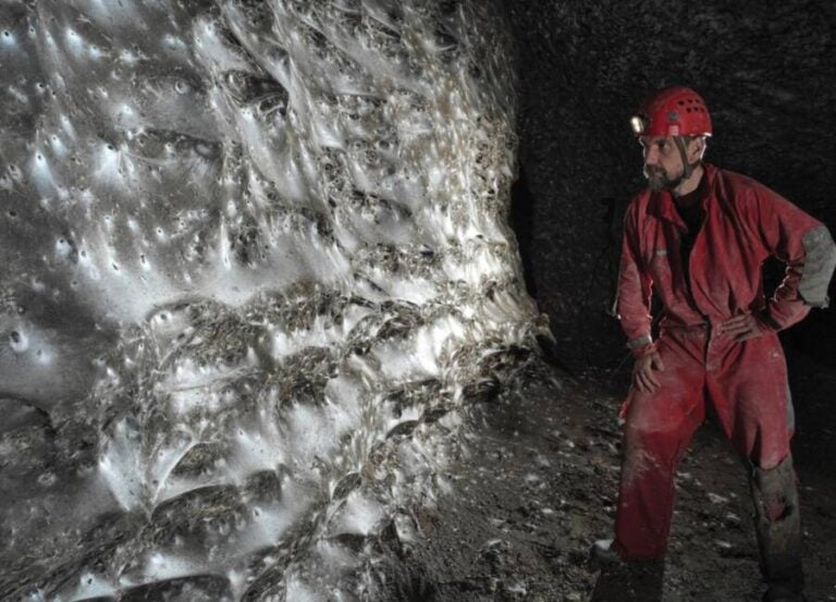 Scientists Have Found The World's Largest Spider Web