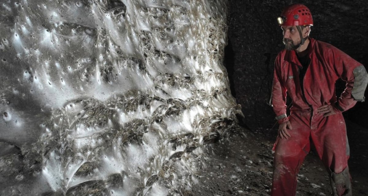 Scientists Have Found The World's Largest Spider Web