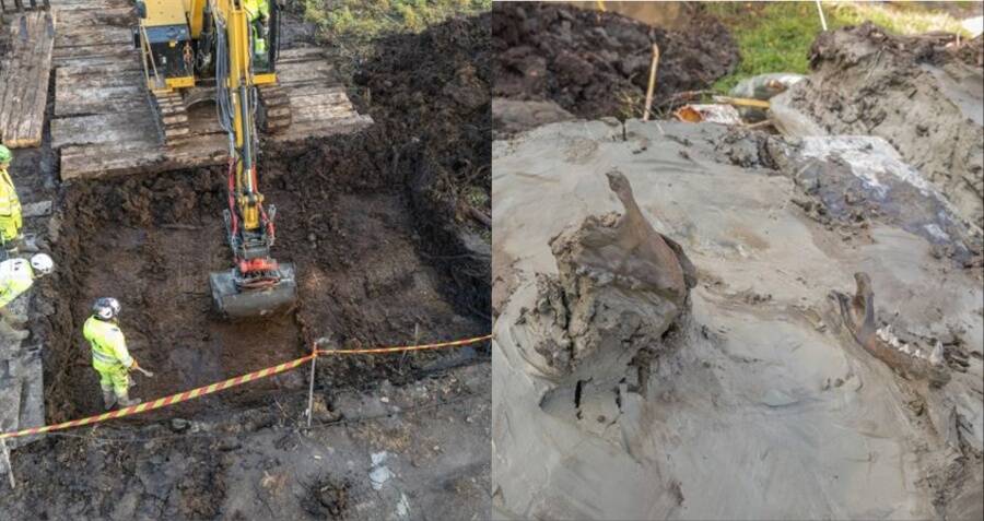 Stone Age Dog Burial Found In Prehistoric Lake In Sweden