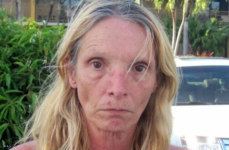 Brenda Heist, The Mom Who Reappeared 11 Years After Vanishing